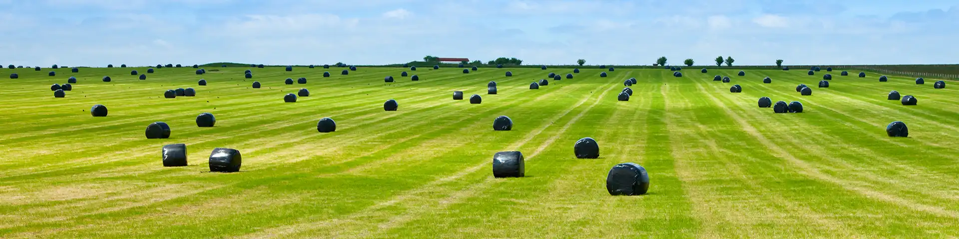 Top 10 challenges for modern agriculture in 2024 | Tama UK