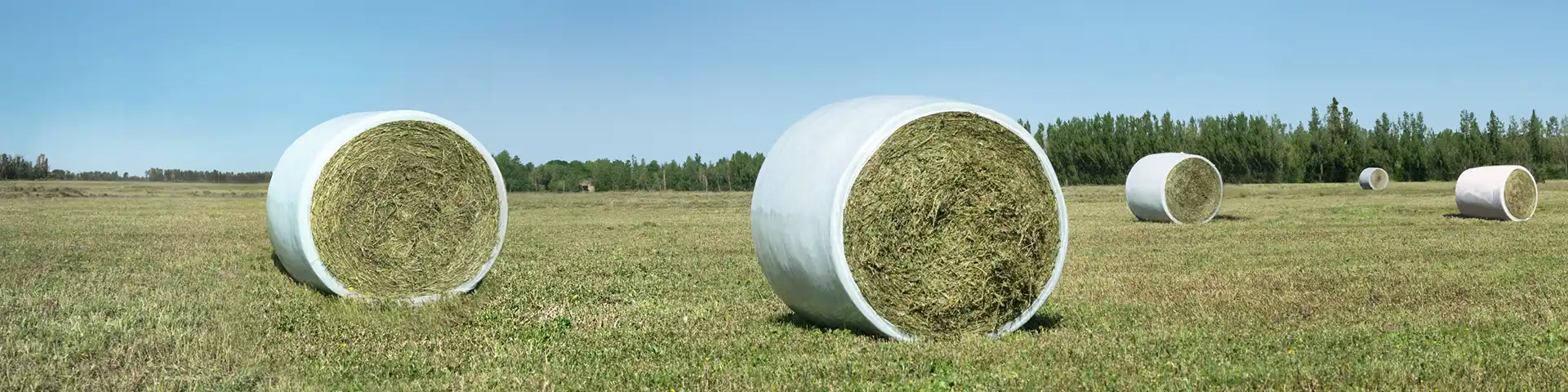 Bale netwrap vs net replacement film: which is best for you? | Tama UK