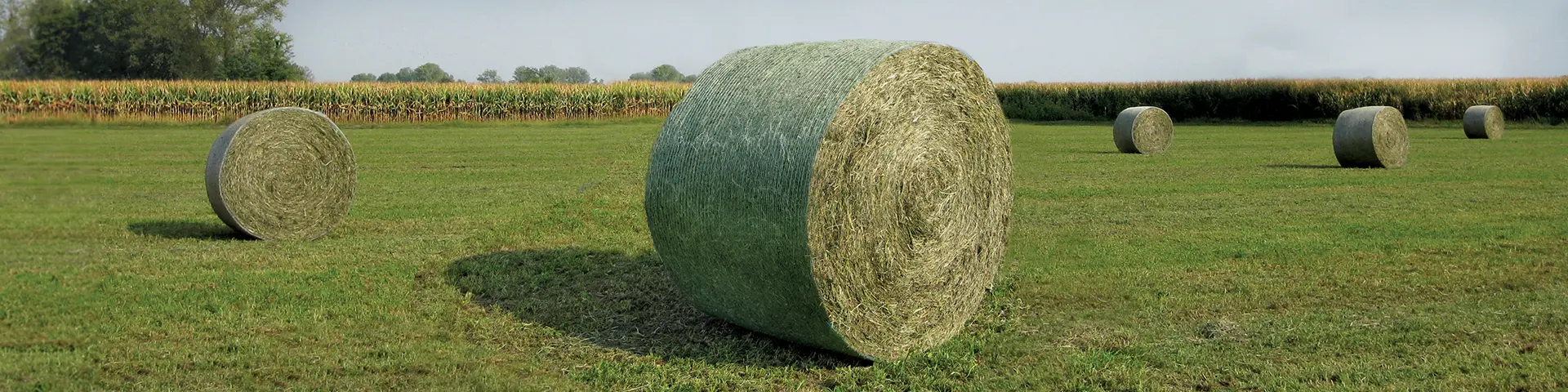 Bale netwrap vs traditional bale binding methods | Tama UK