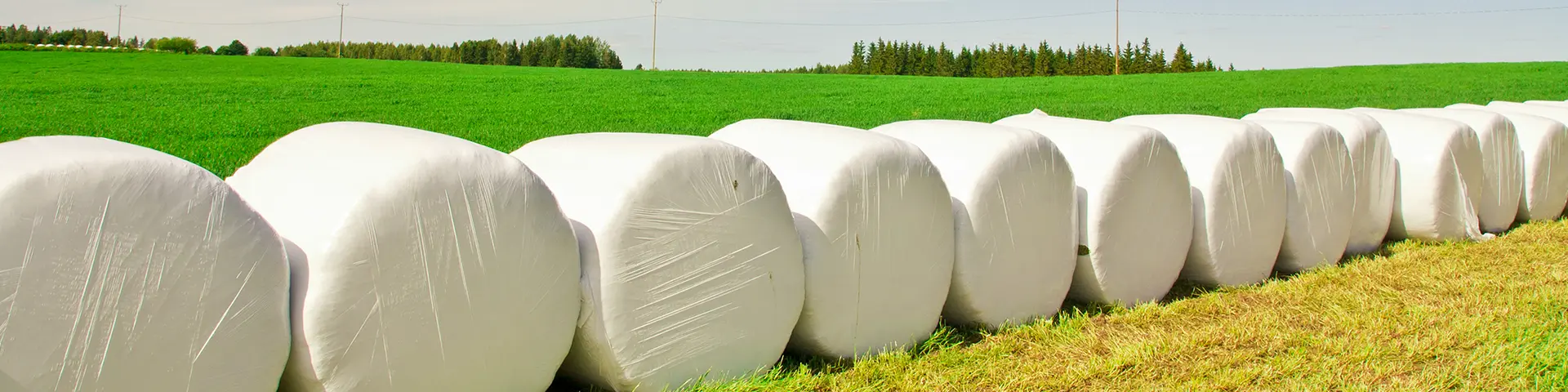 The Ultimate Guide to Silage Wrap: Advantages, Types, and Usage | Tama UK