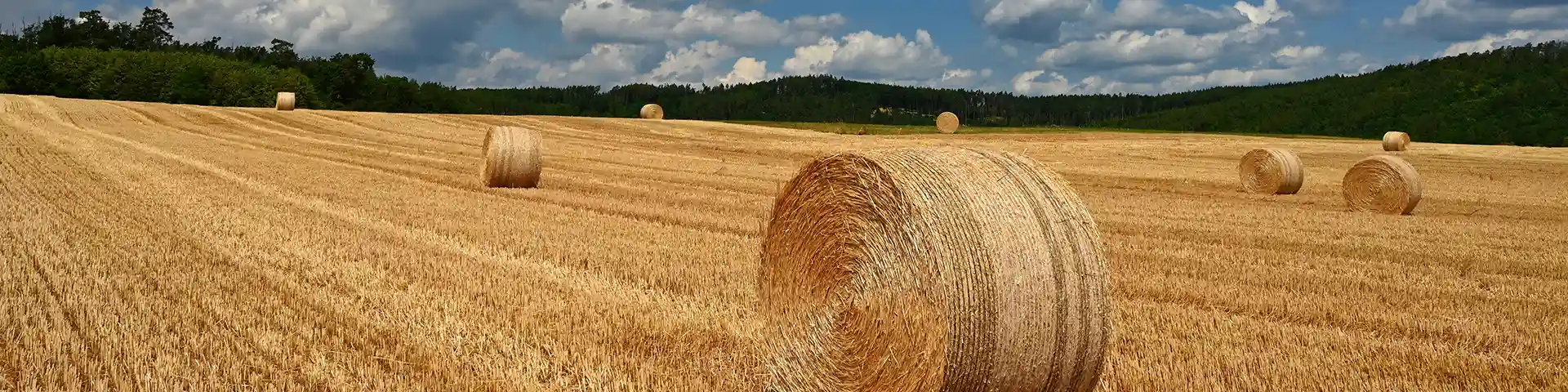 Round Bale Wrapping: Exploring the Best Options for Modern Farming ...