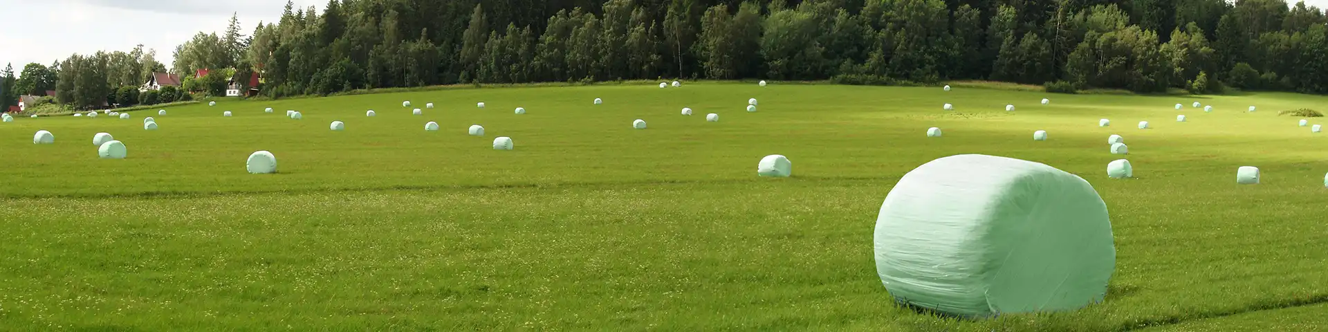 Reducing Silage Waste and Improving Yield: The Benefits of Stretch Wrap ...