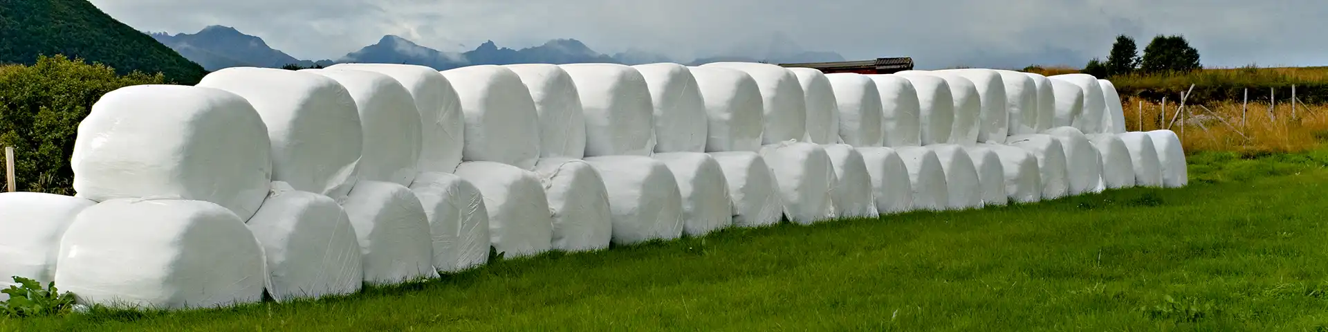 Stretchfilm grows to 1,800m | Tama UK