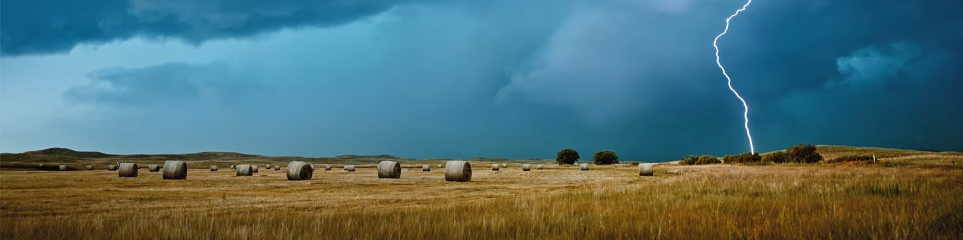 A Guide to Hay Bale Harvesting When Wet | Tama UK