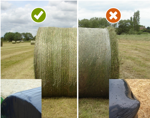How do you judge the quality of a round bale? | Tama UK