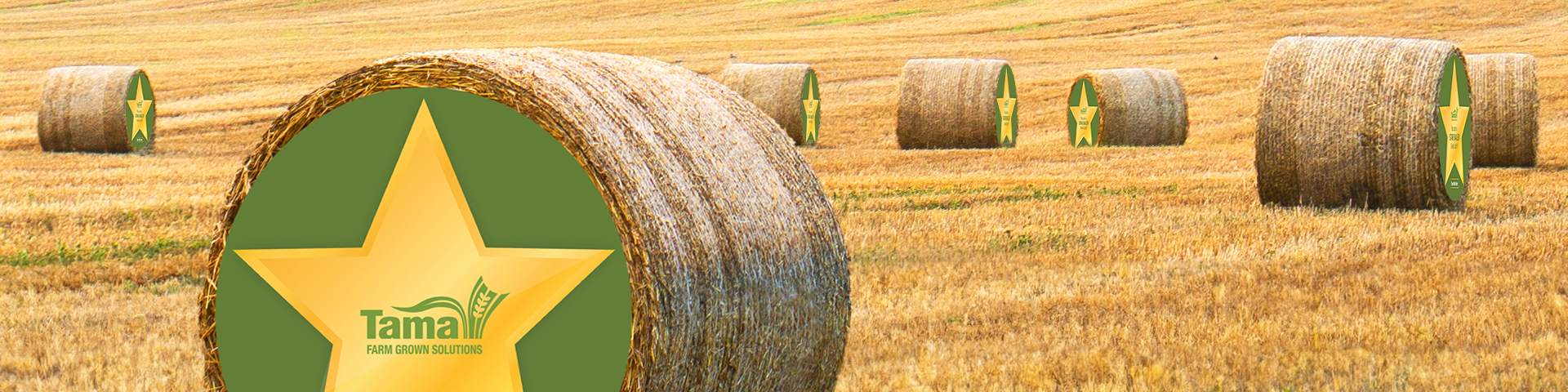 Tama’s ‘thank-you’ to the UK’s Star Balers | Tama UK