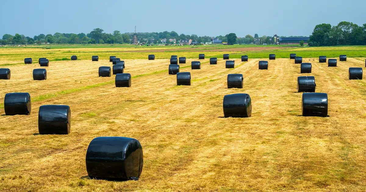 The Ultimate Guide to Silage Wrap Solutions | Tama UK