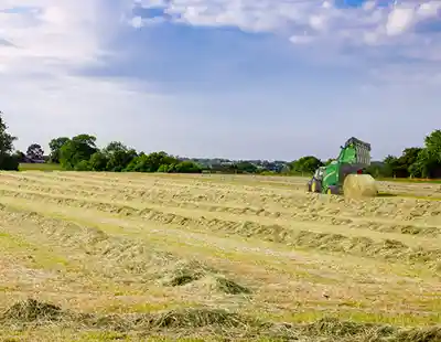 Optimising Haymaking for Top-Quality Baling and Storage | Tama UK