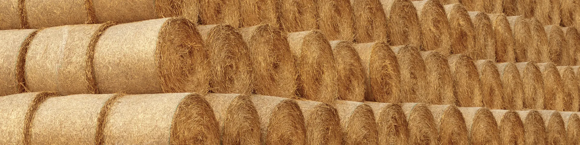 The Smart Way to Store Your Round & Square Silage Bales | Tama UK