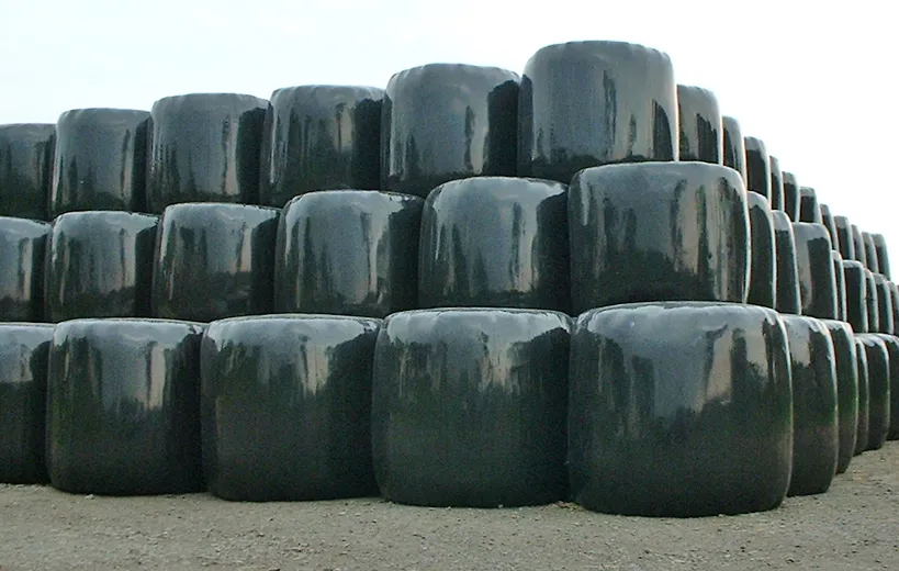 Anaerobic Fermentation 101: How Silage Film Keeps Your Forage in Top ...
