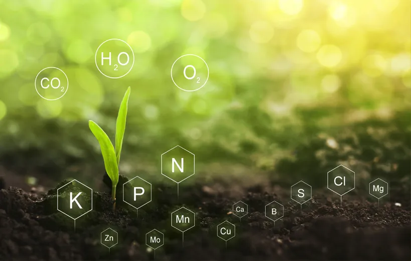 How Nitrogen Sensors Help Farmers Apply Fertiliser More Efficiently for ...